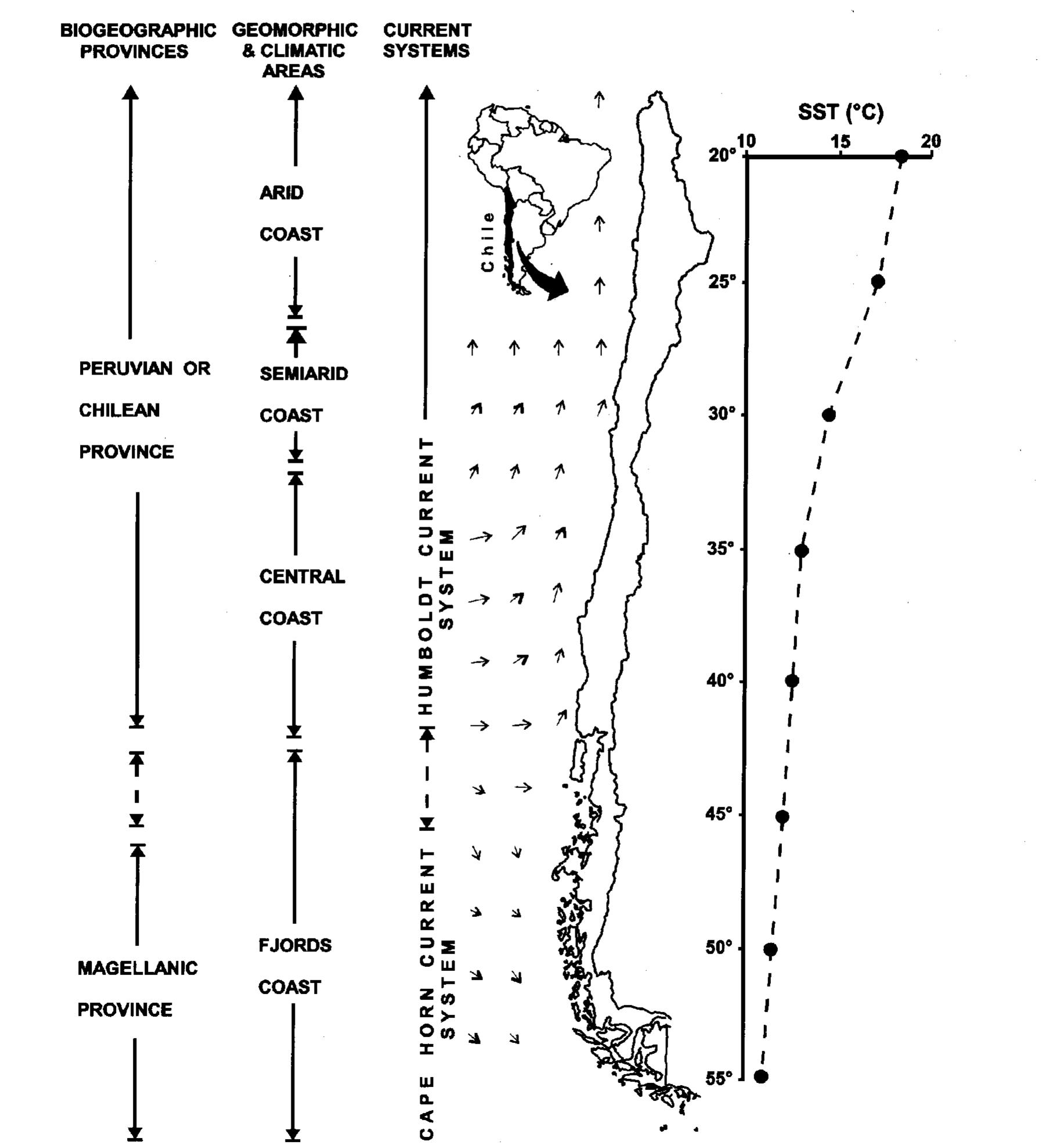 Schematic representation of the main structural features