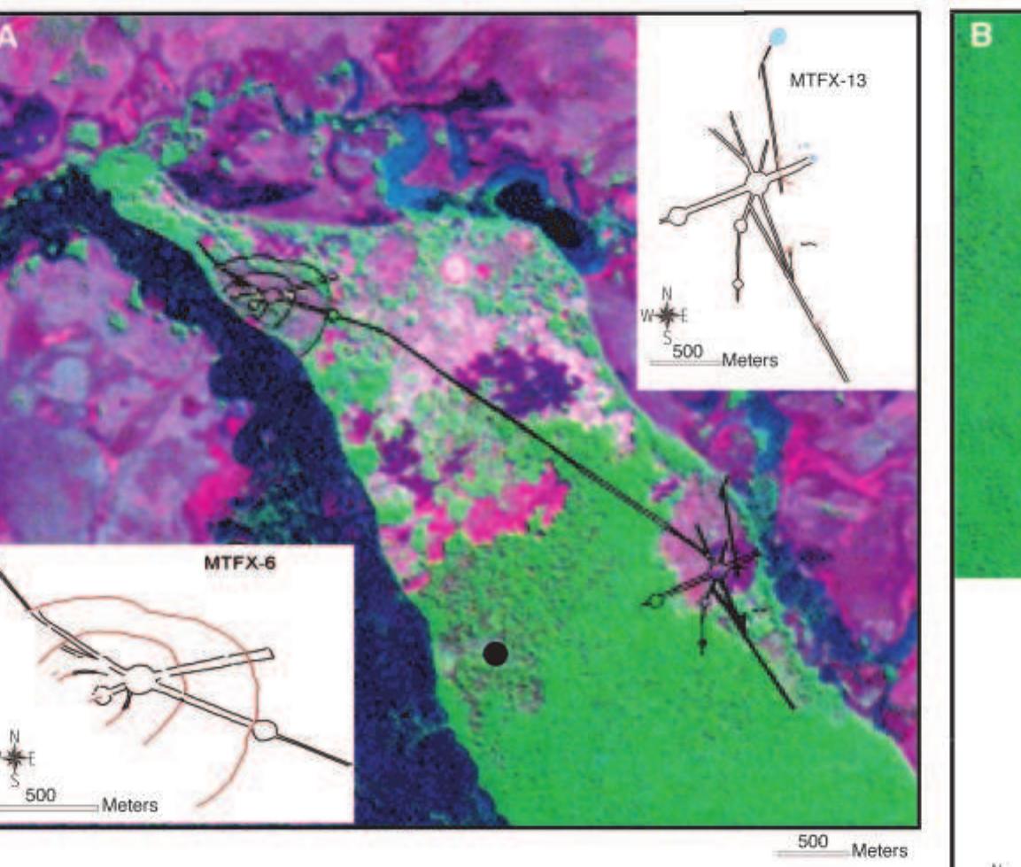 Satellite image [landsat 4 thematic mapper, path 225, row