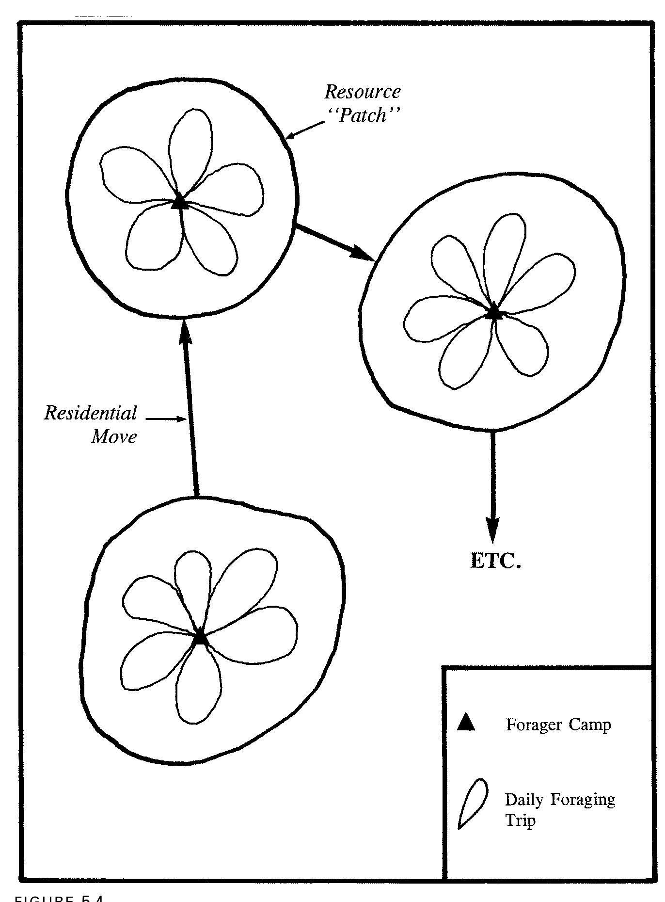 A very generalized forager settlement model.