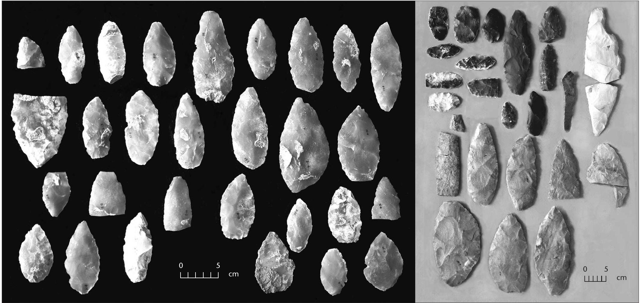 (PDF) Clovis Caches: Current Perspectives and Future Directions