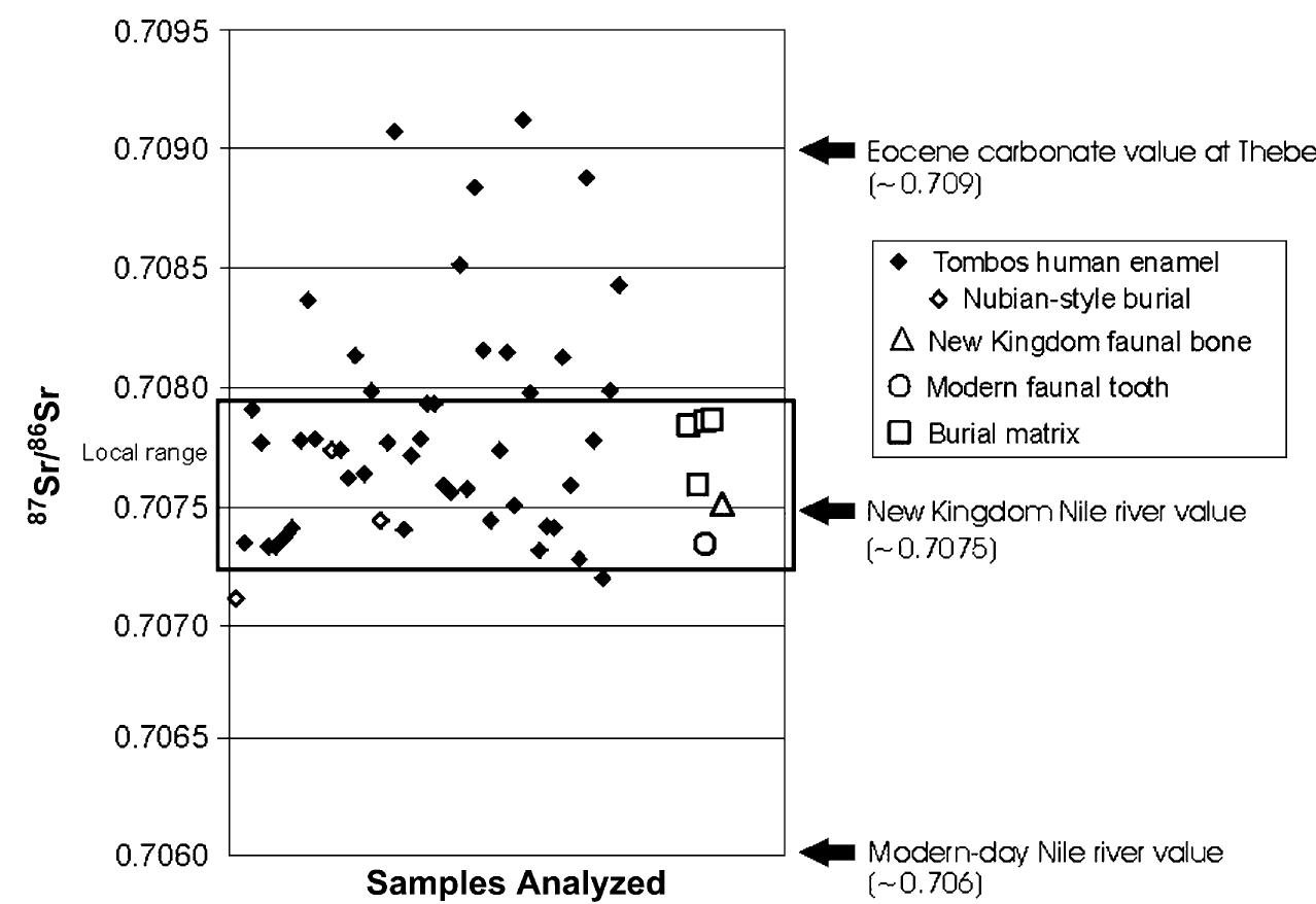 Distribution of 87¢7/8sr values for human enamel, faunal,