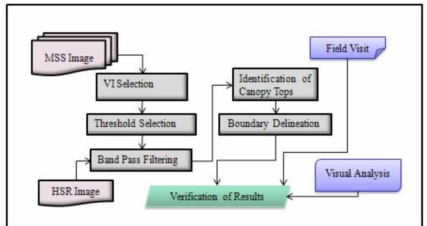 Methodology Flow Chart 1921