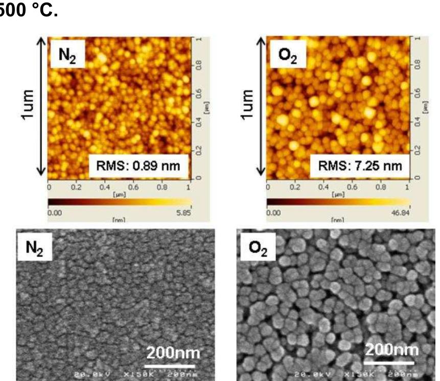 Afm and sem images of thin films prepared at 500 °c for 10