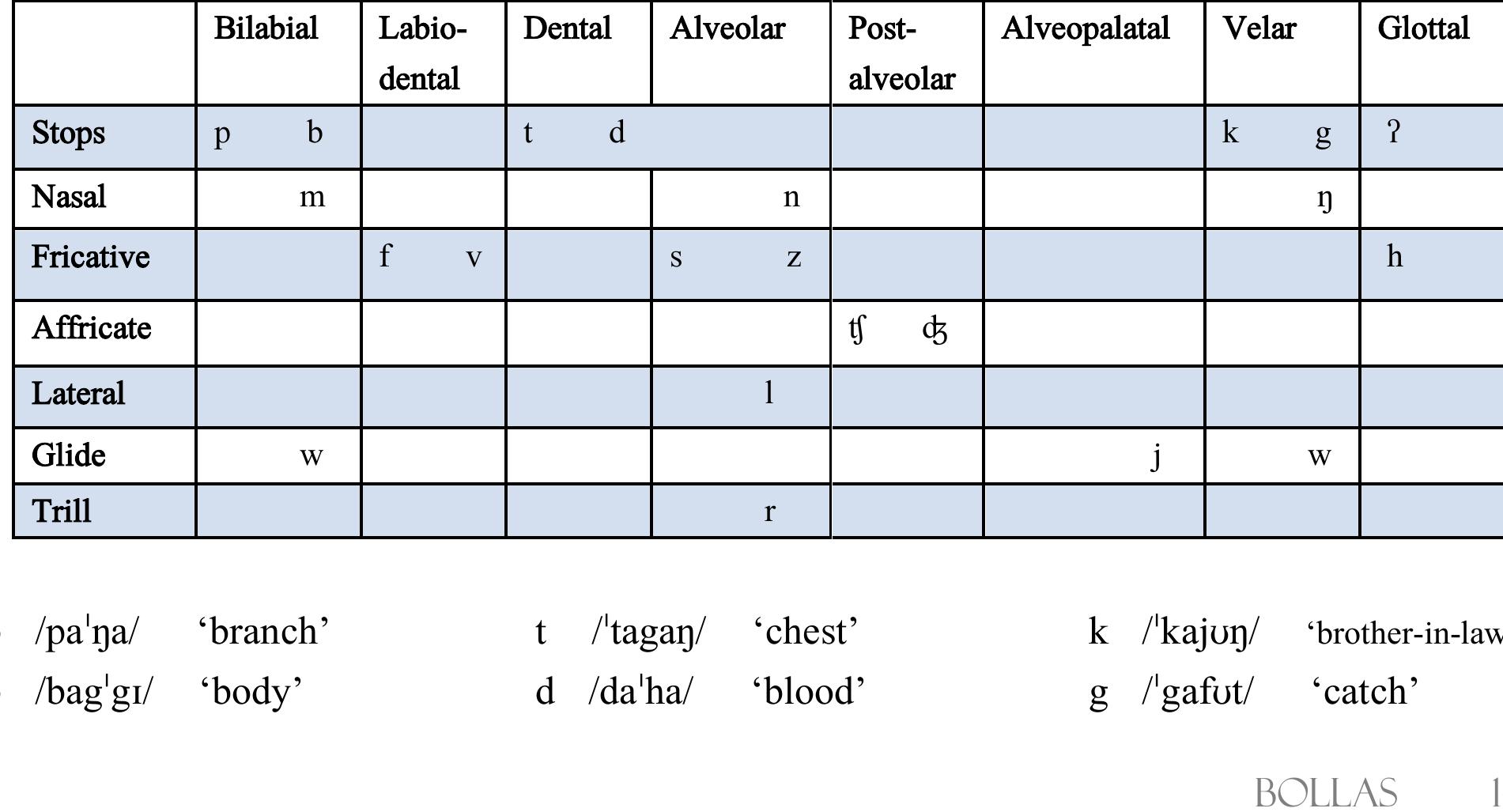 - consonants this inventory is updated based on the data. it