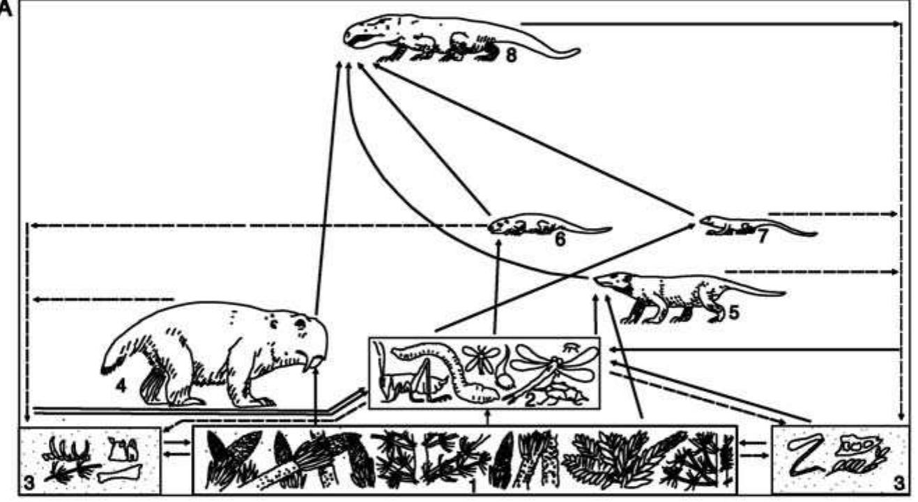 Figure 30 - Applied Stratigraphy