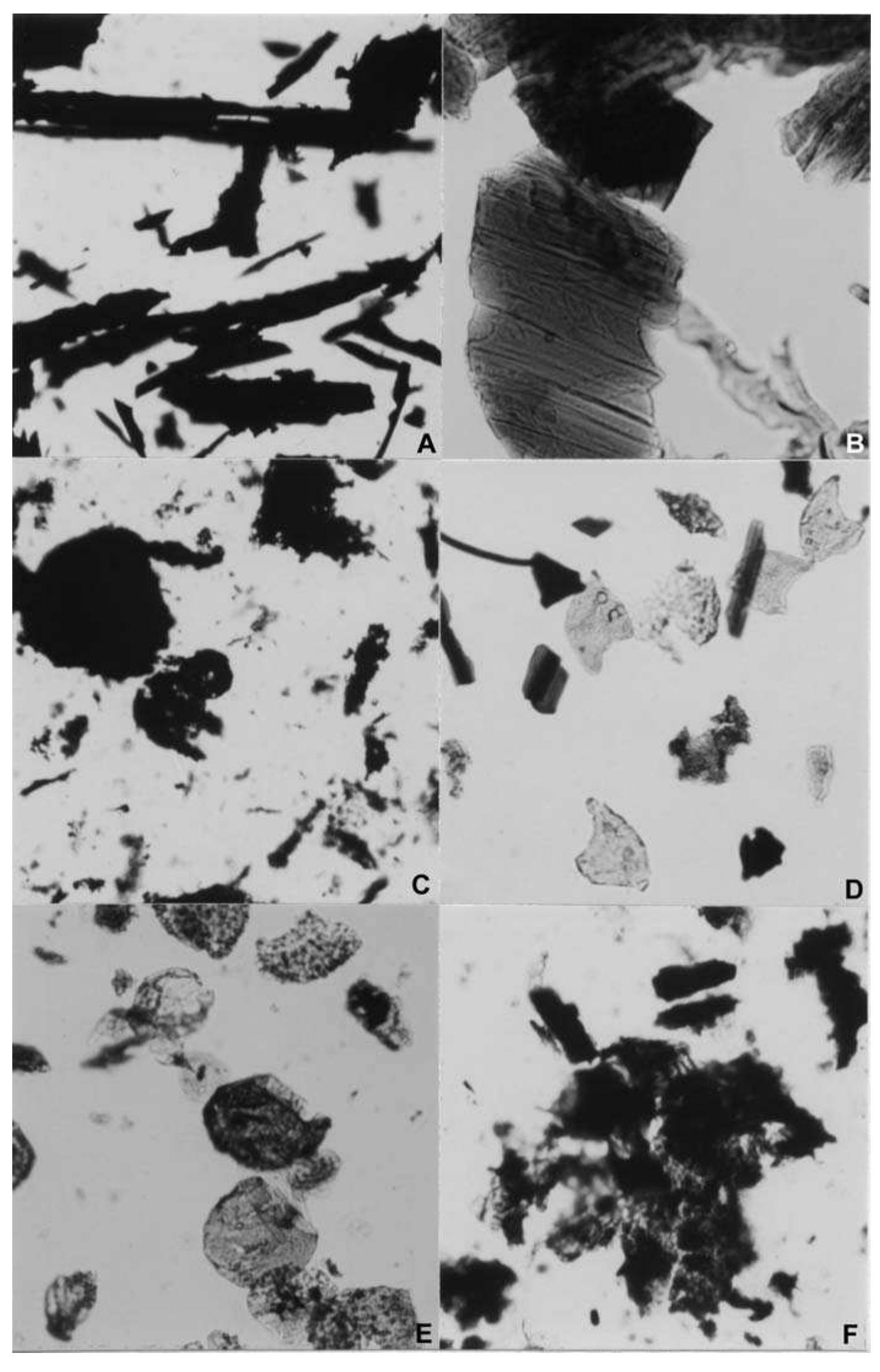 Figure 63 - Applied Stratigraphy