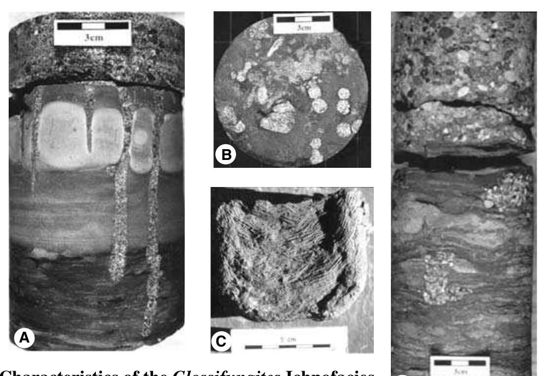 Figure 100 - Applied Stratigraphy
