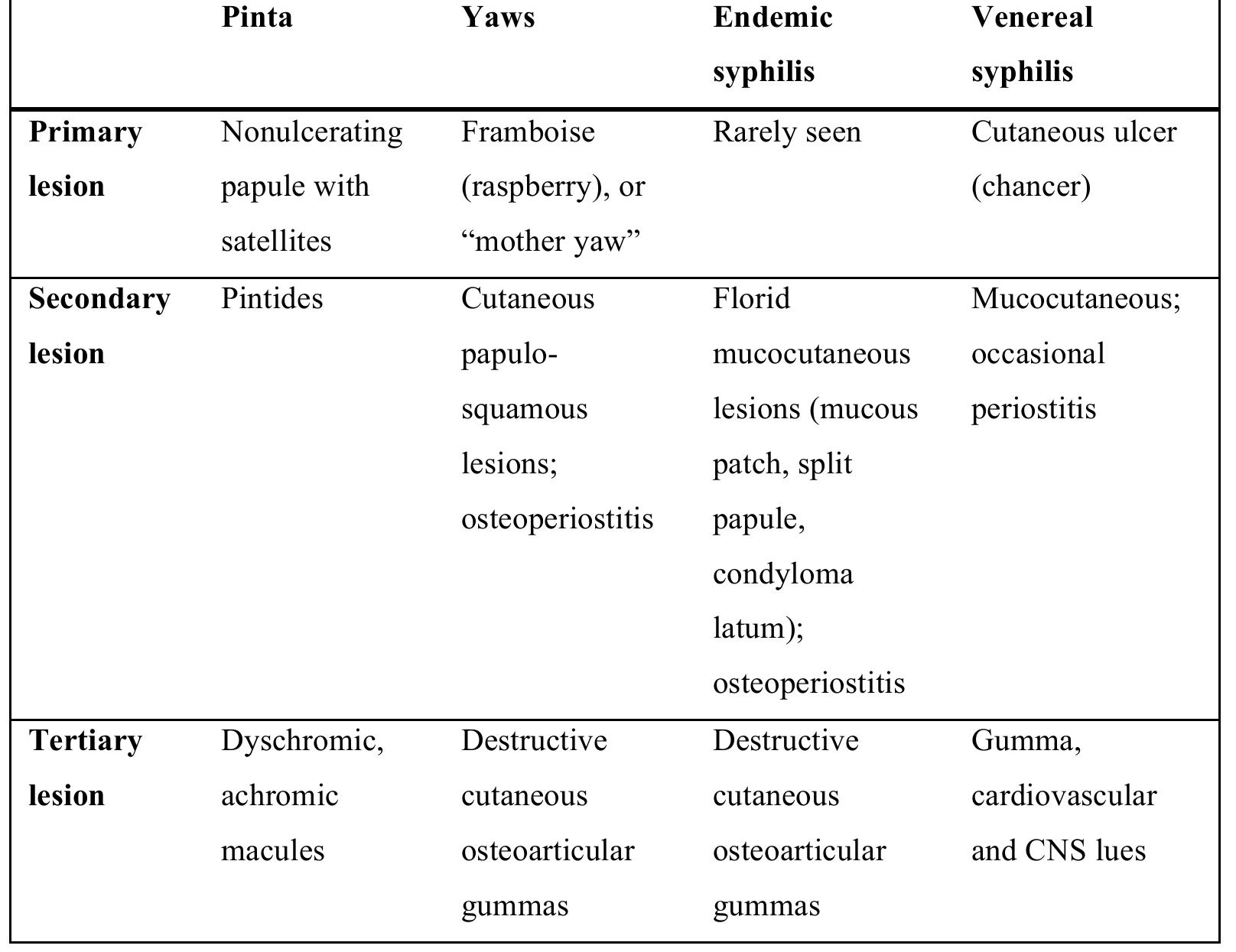 Different stages of treponemal lesions. source: adapted from