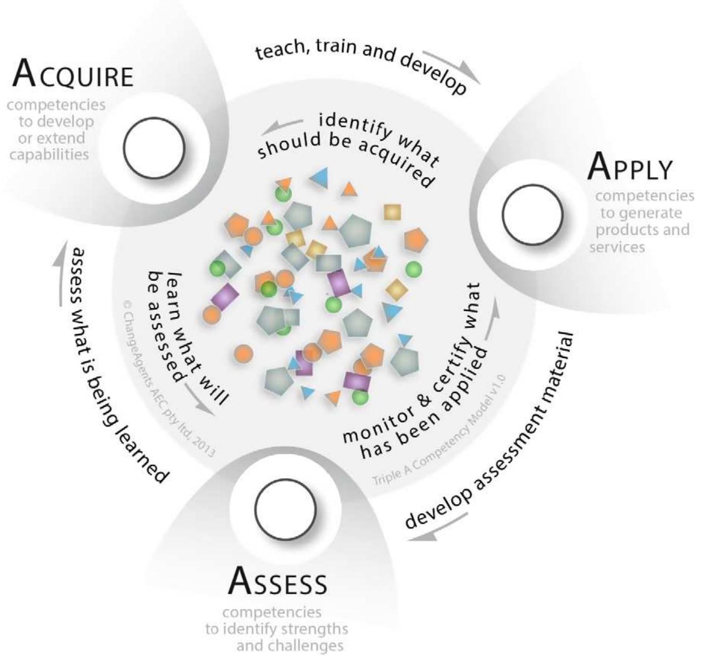 The triple a competency model — coloured shapes denote