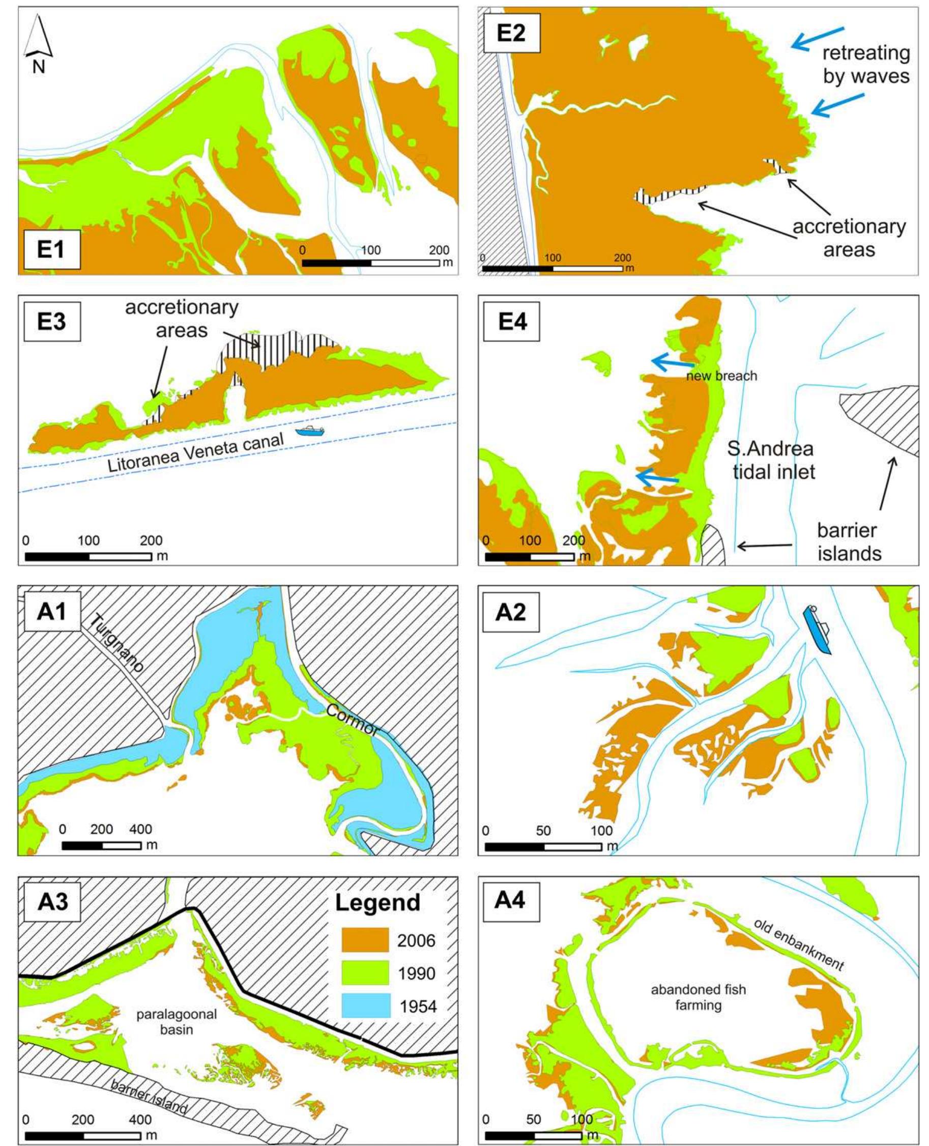 Different erosional and accretionary saltmarsh types. in
