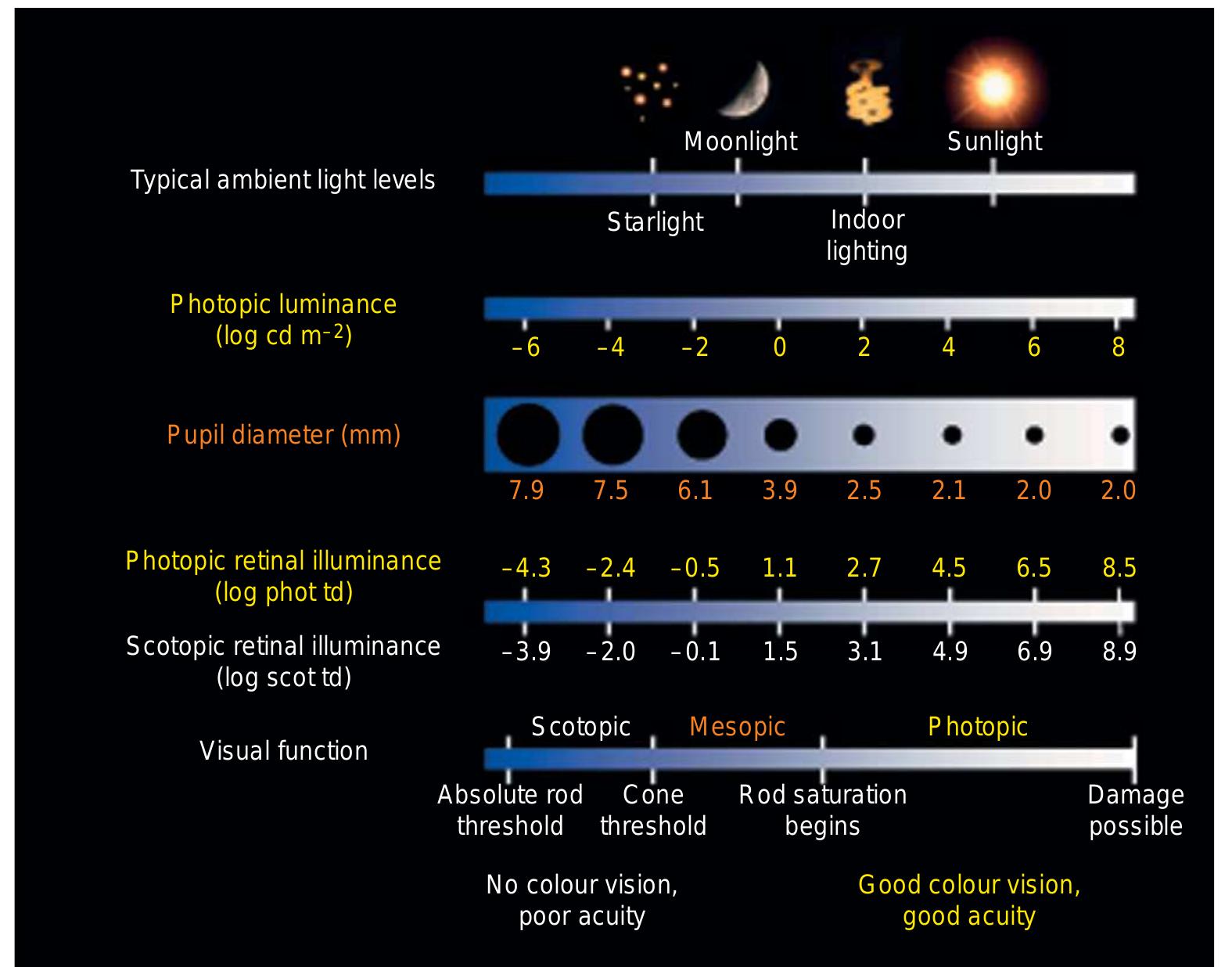 __ illumination levels. typical ambient light levels are