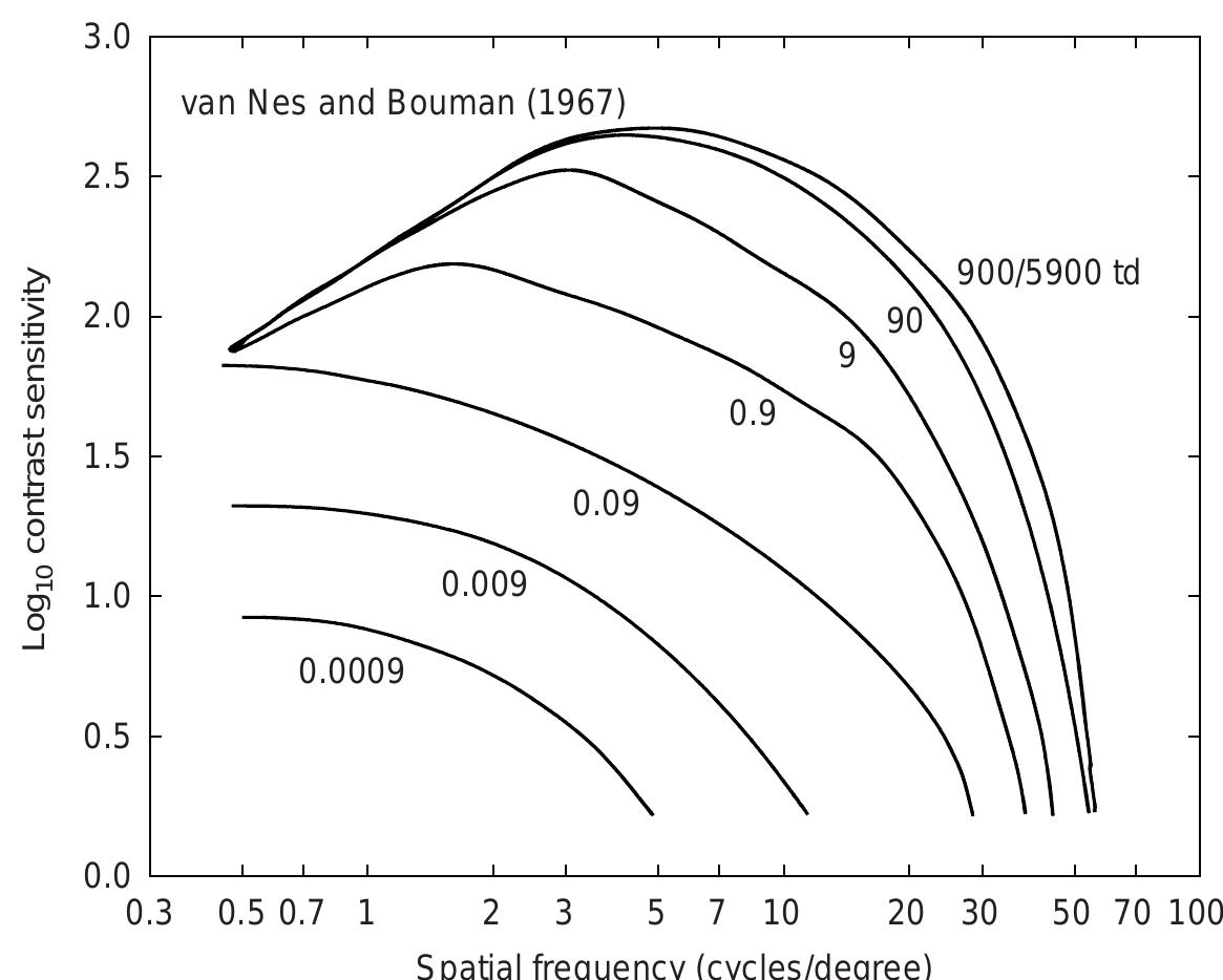 (PDF) Photopic, Mesopic and Scotopic Vision and Changes in Visual ...