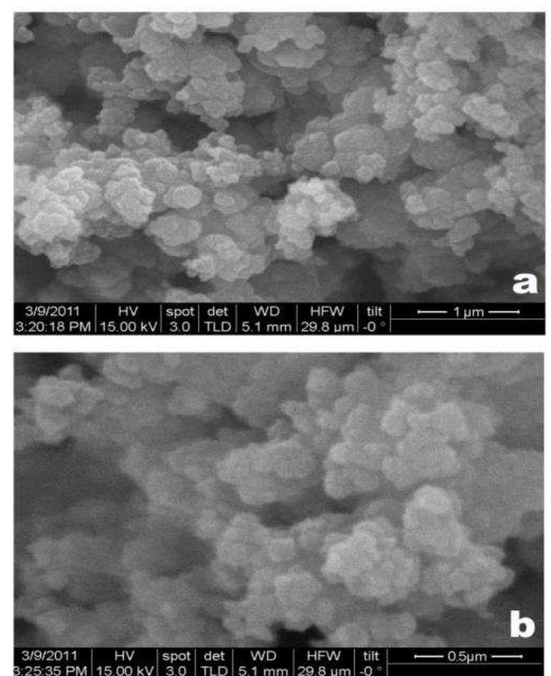 Sem images of y-fe.03 nanoparticles. 3.3 scanning electron