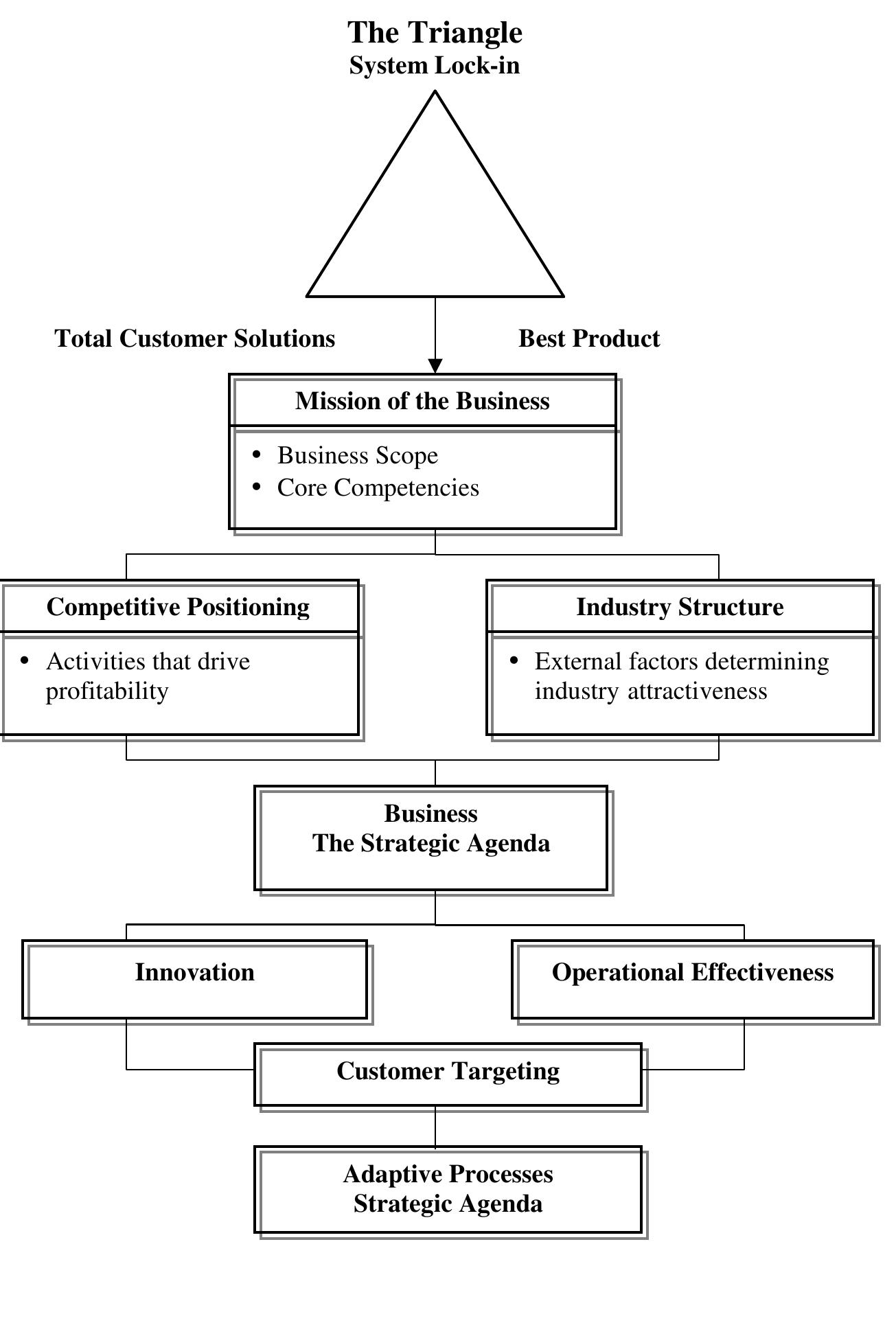 Figure 4 - The Delta Model a New Framework of Strategy
