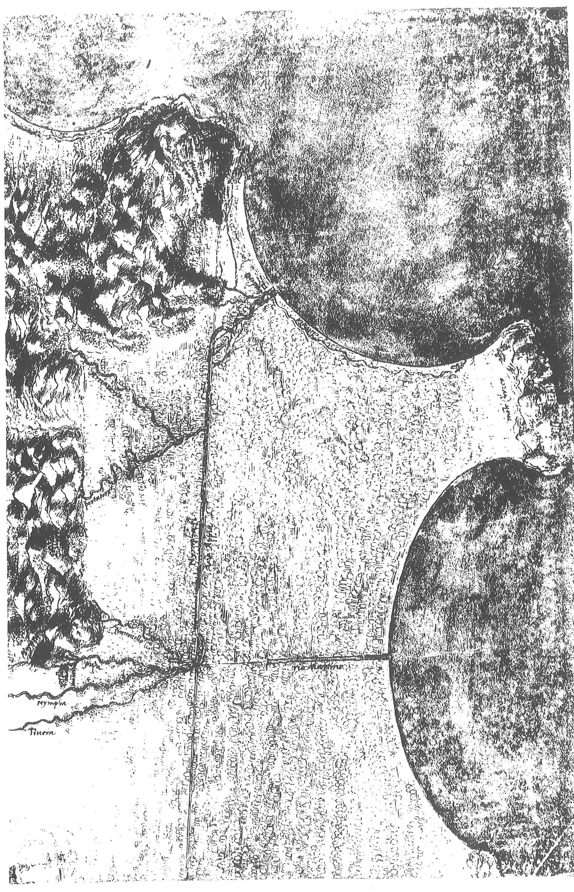 Io map of the pontine region by leonardo da vinci (dated