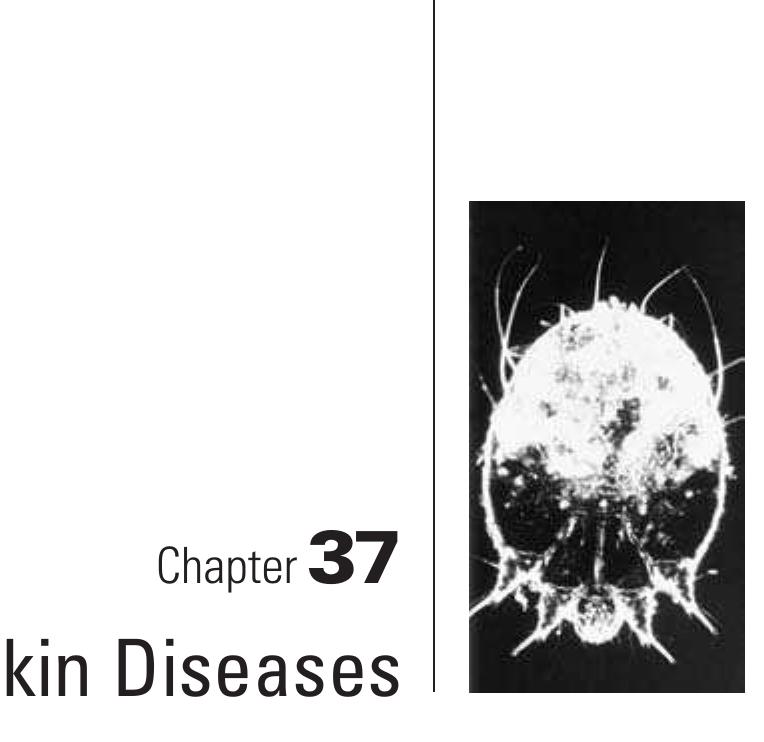 Roderick hay, sandra e. bendeck, suephy chen, roberto