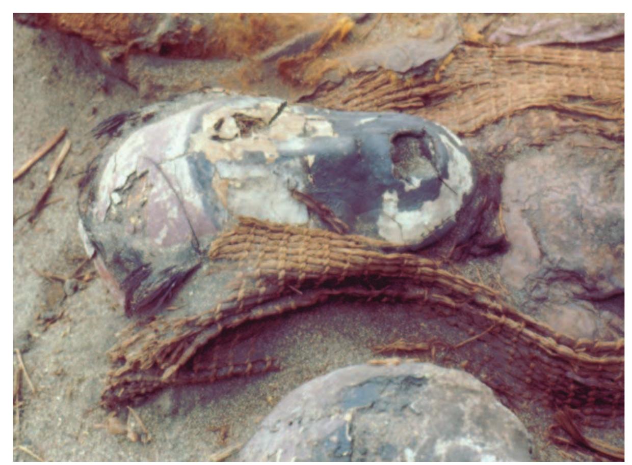 Figure 4 - from Chinchorro Culture: Pioneers of the Coast of