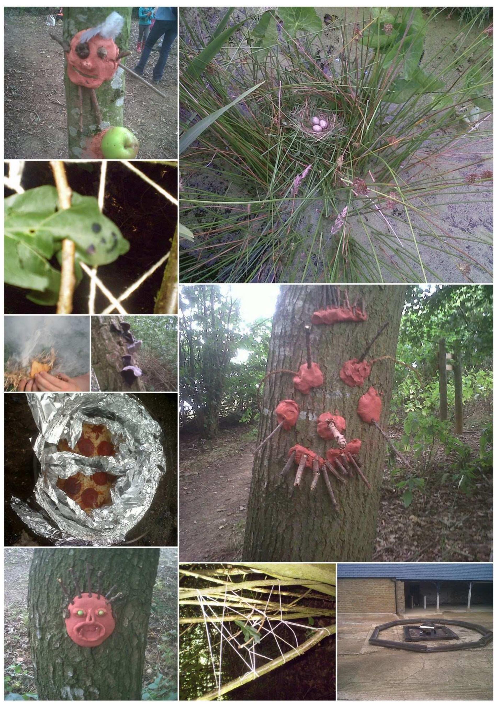 (PDF) Forest School Practitioners Portfolio