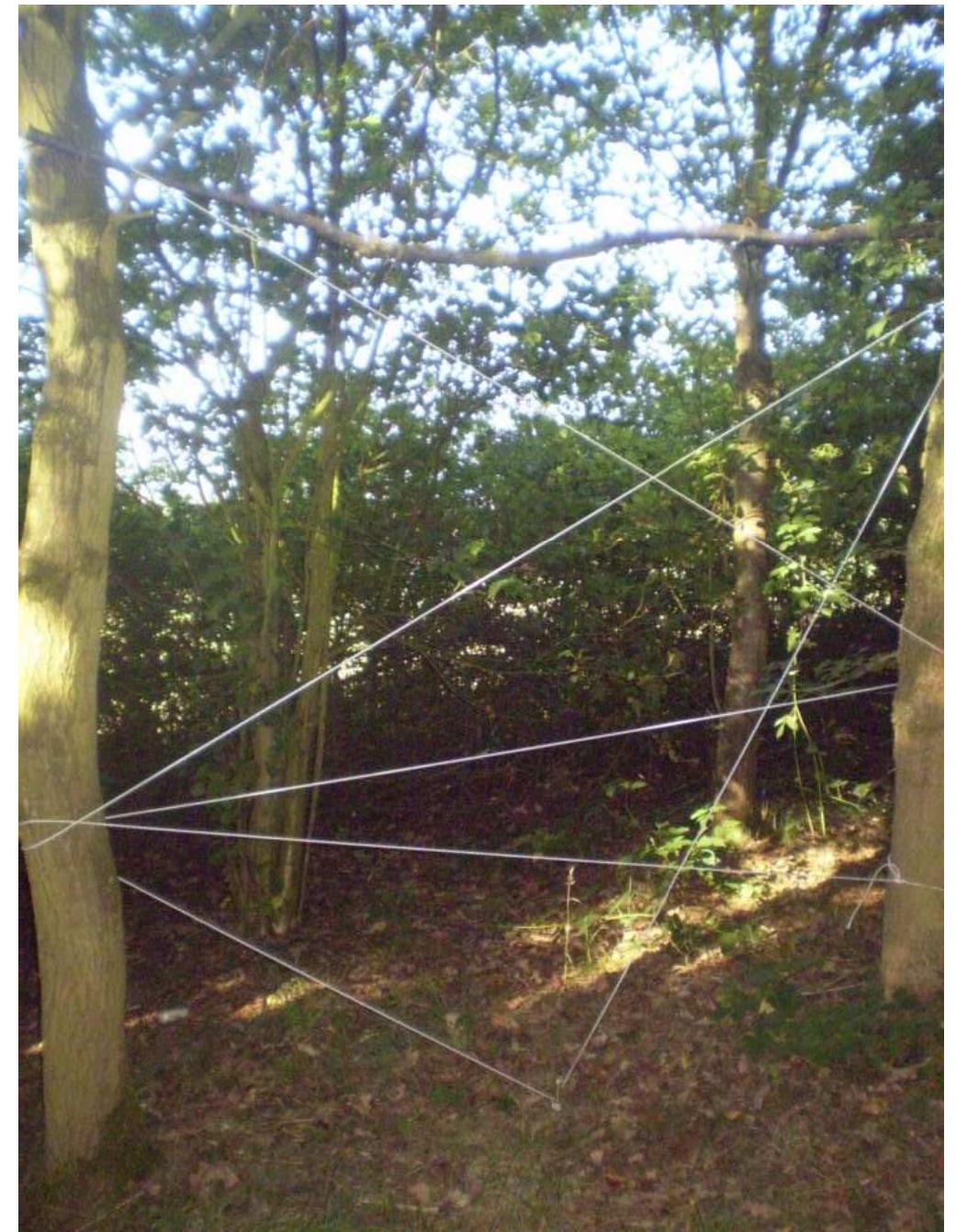 (PDF) Forest School Practitioners Portfolio