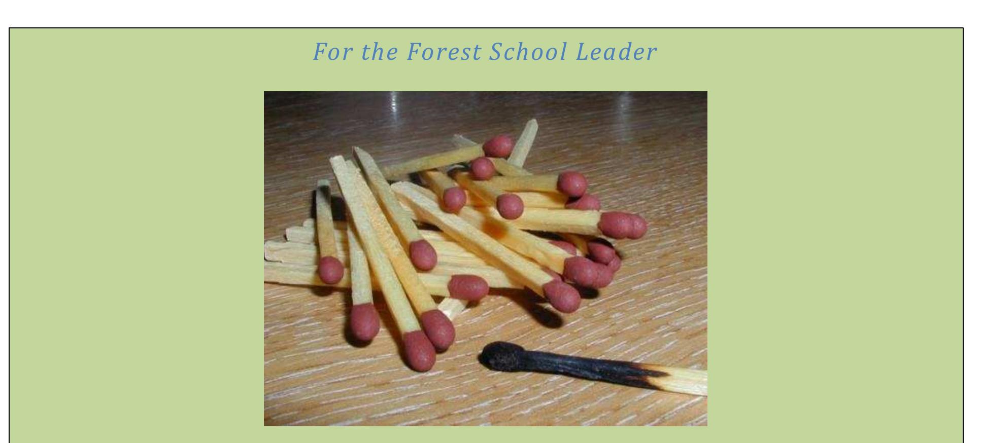 (PDF) Forest School Practitioners Portfolio