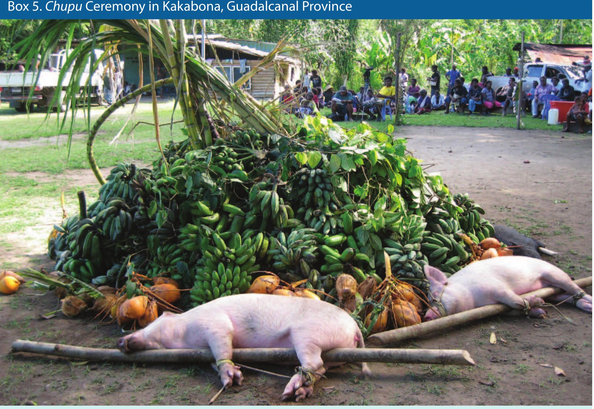Chupu ceremony at kakabona, guadalcanal province, 2010. the