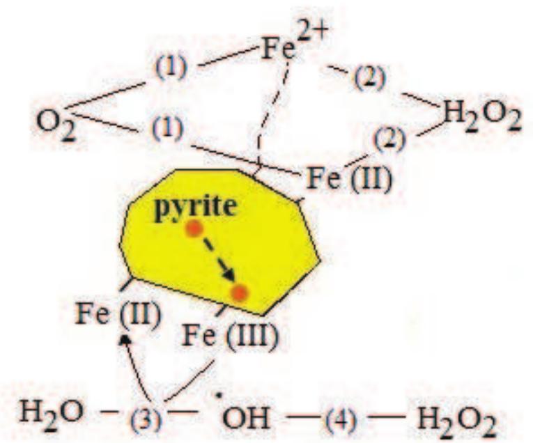 Proposed mechanisms for formation of h2o2 by chalcopyrite.