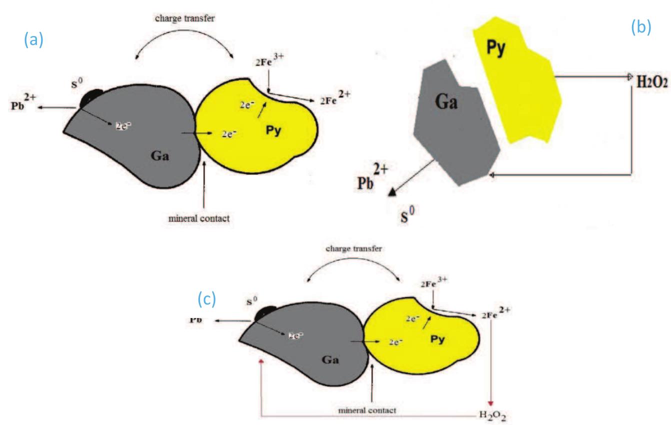 Proposed mechanisms for oxidation of galena by a) galvanic