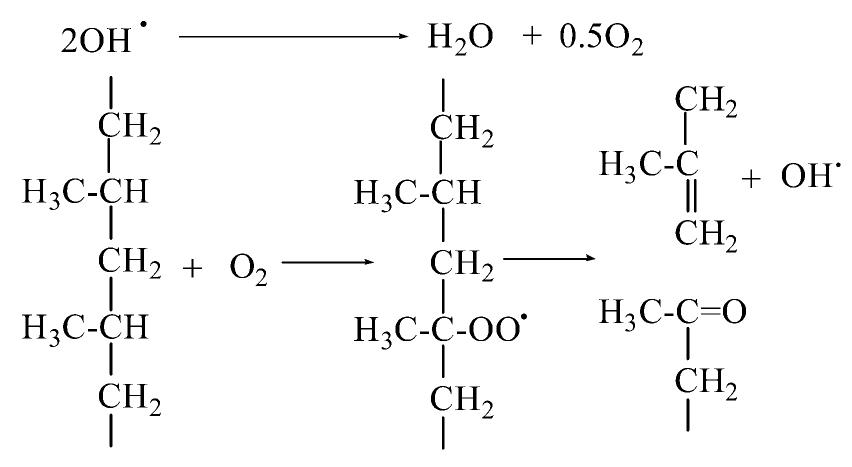 Possible reaction mechanism for hydroxylation of the pp