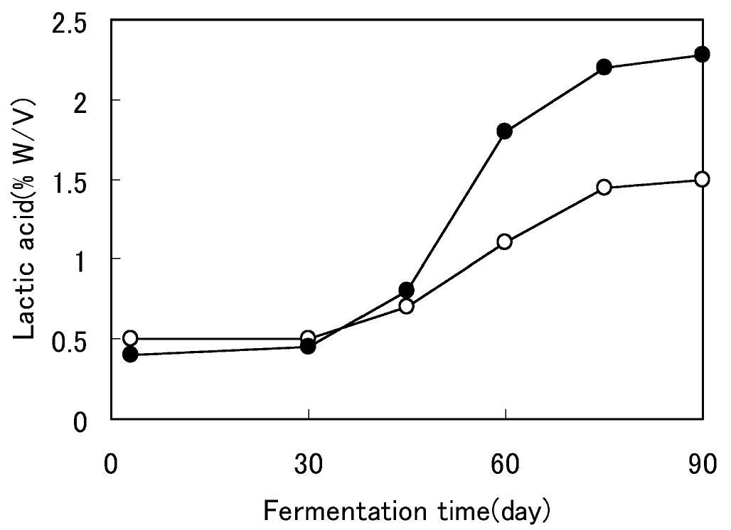 Changes in lactic acid contents of the fish sauces during