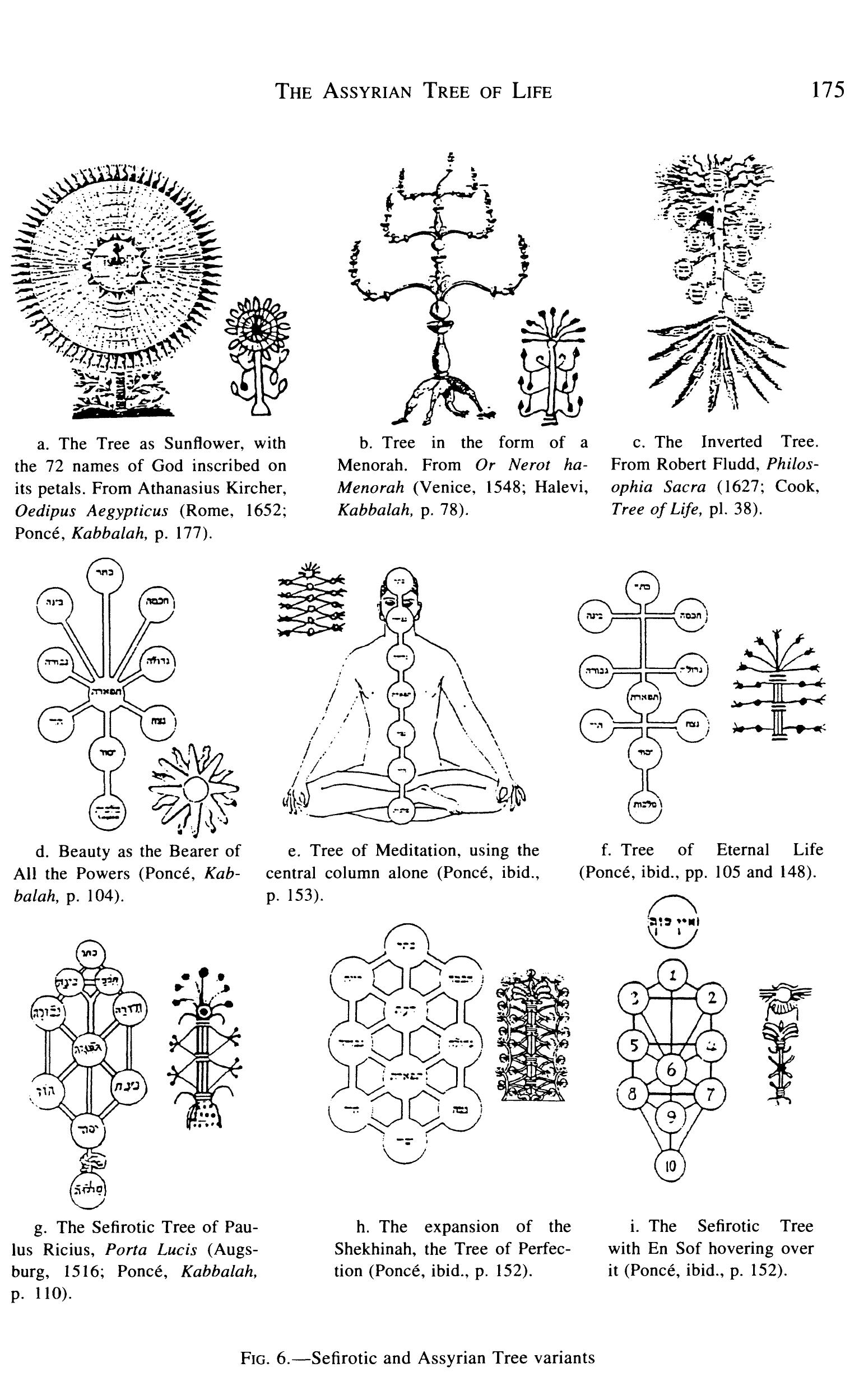 Figure 6 - The Assyrian Tree of Life: Tracing the Origins of