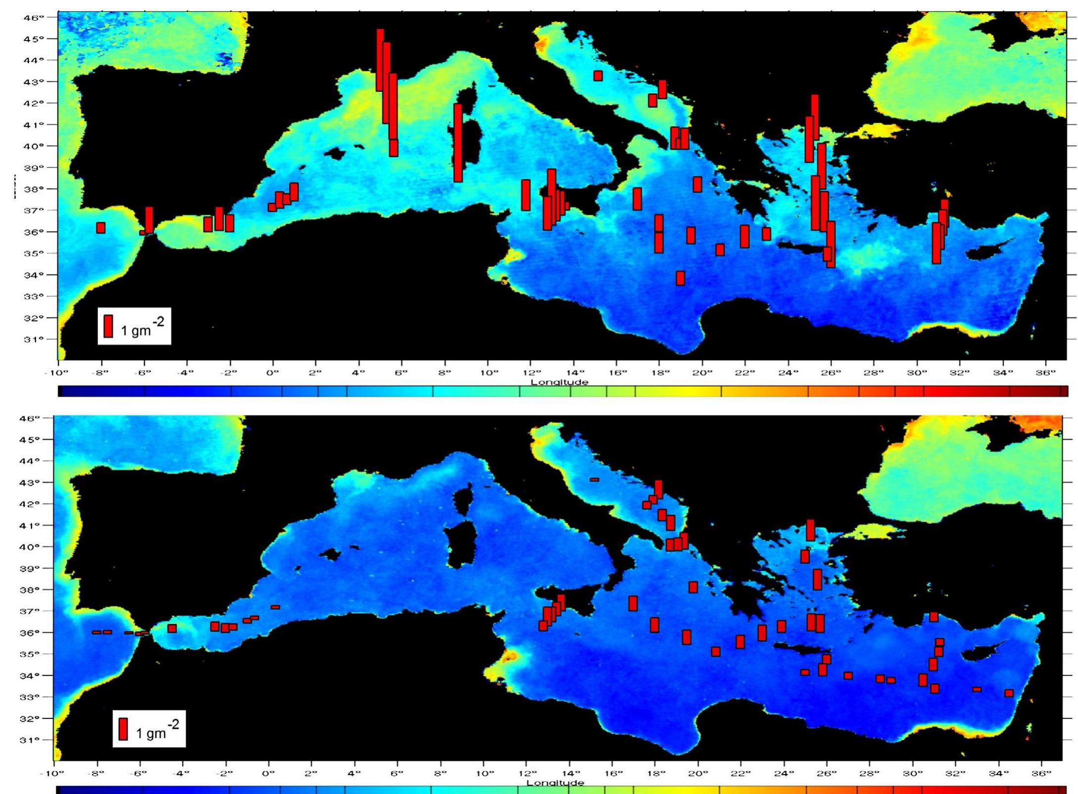 Maps of the satellite derived chlorophyll-a concentration