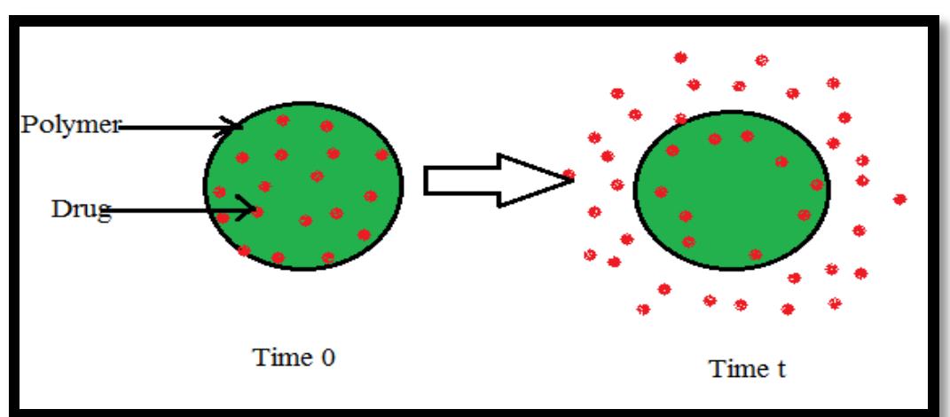 Schematic representation of diffusion type matrix system the