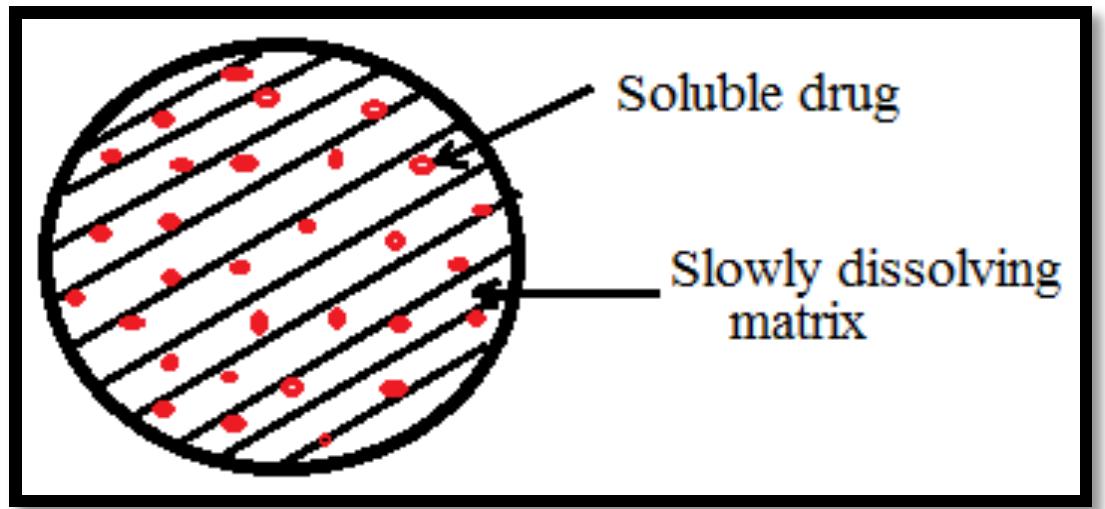 Schematic representation of dissolution matrix system it can