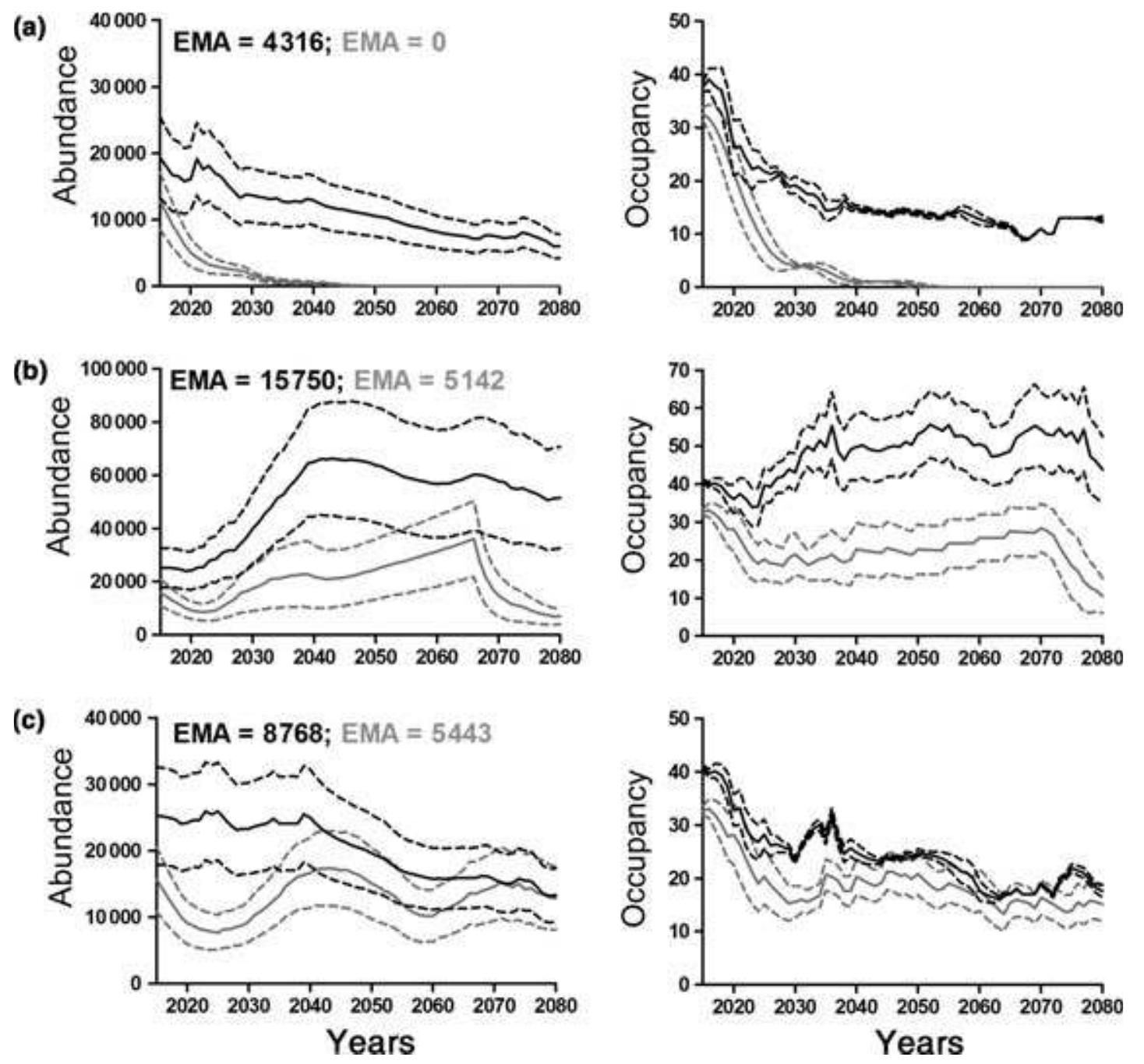 Overall metapopulation size and patch occupancy for t.