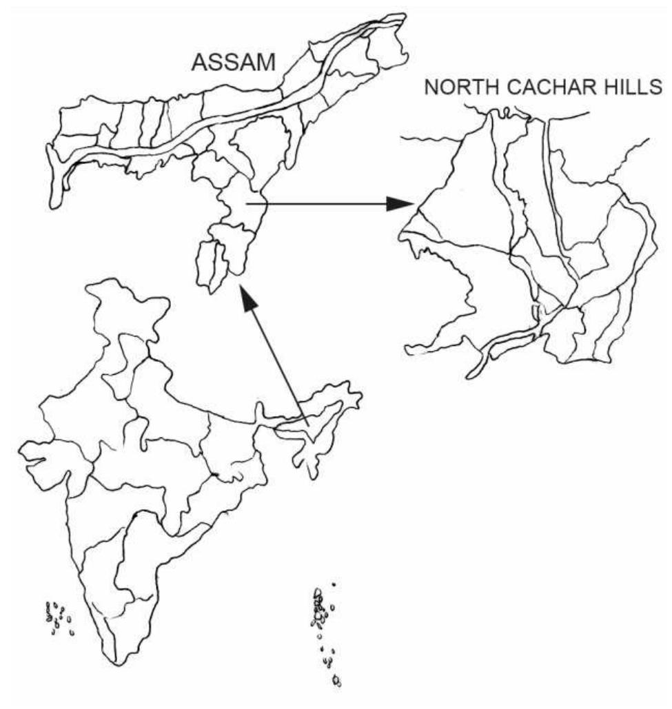 lushai inhabited villages of norht cachar hills