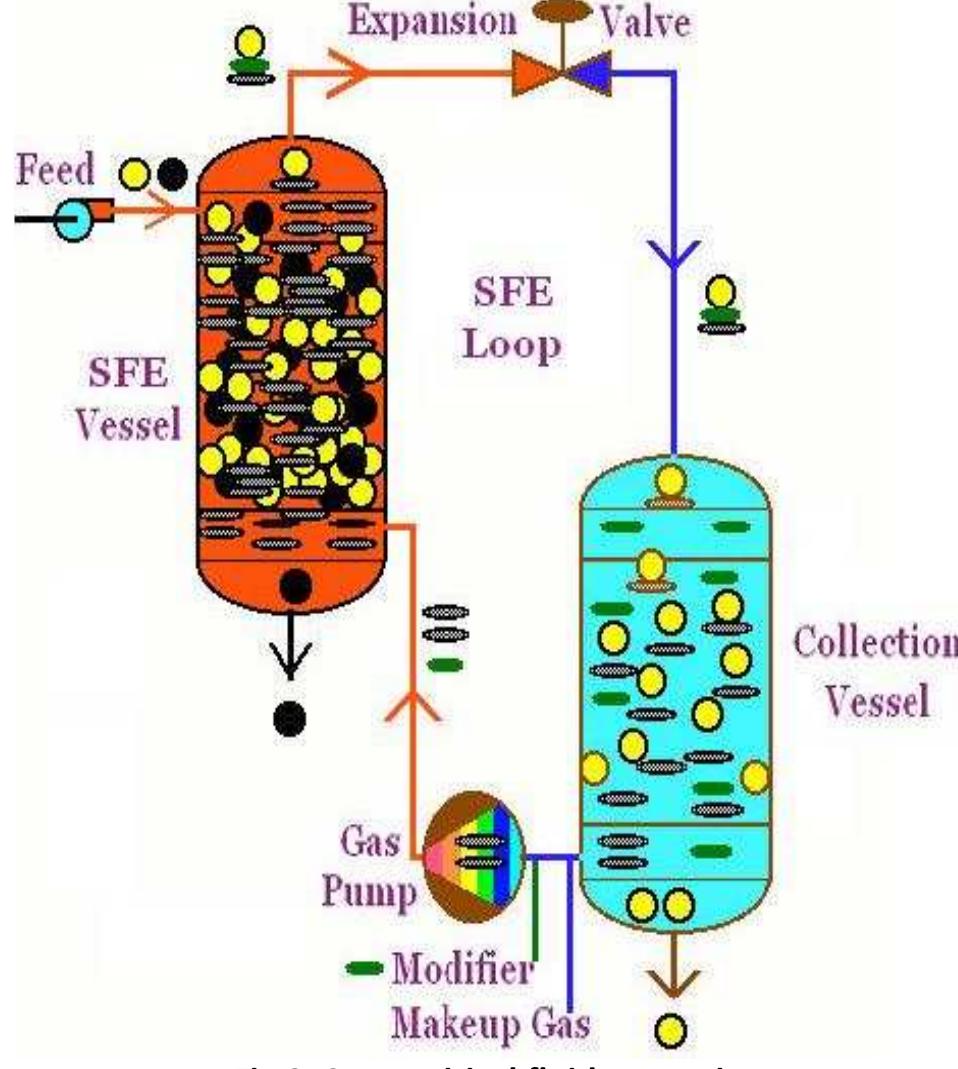 -hostile figure 3 depicts a schematic representation of the -hostile figure 3 depicts a schematic representation of the