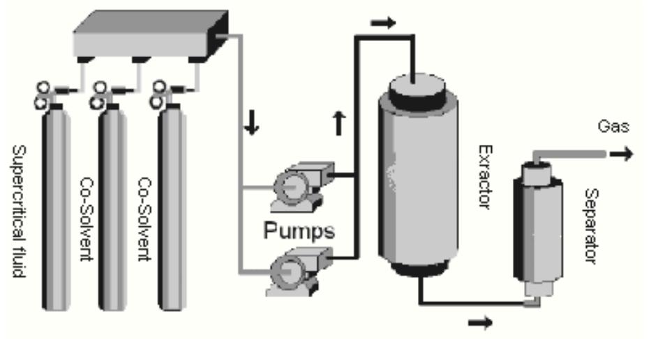 Schematic diagram of sfe in static (batch) mode figure 5:
