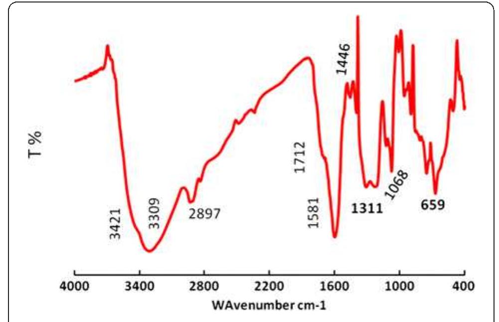 Ft-ir spectrum of carob leaf extract.