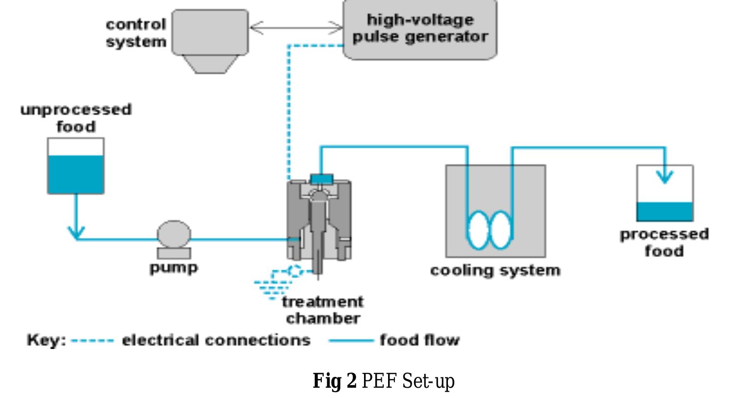 The typical components of pef processing equipment include a
