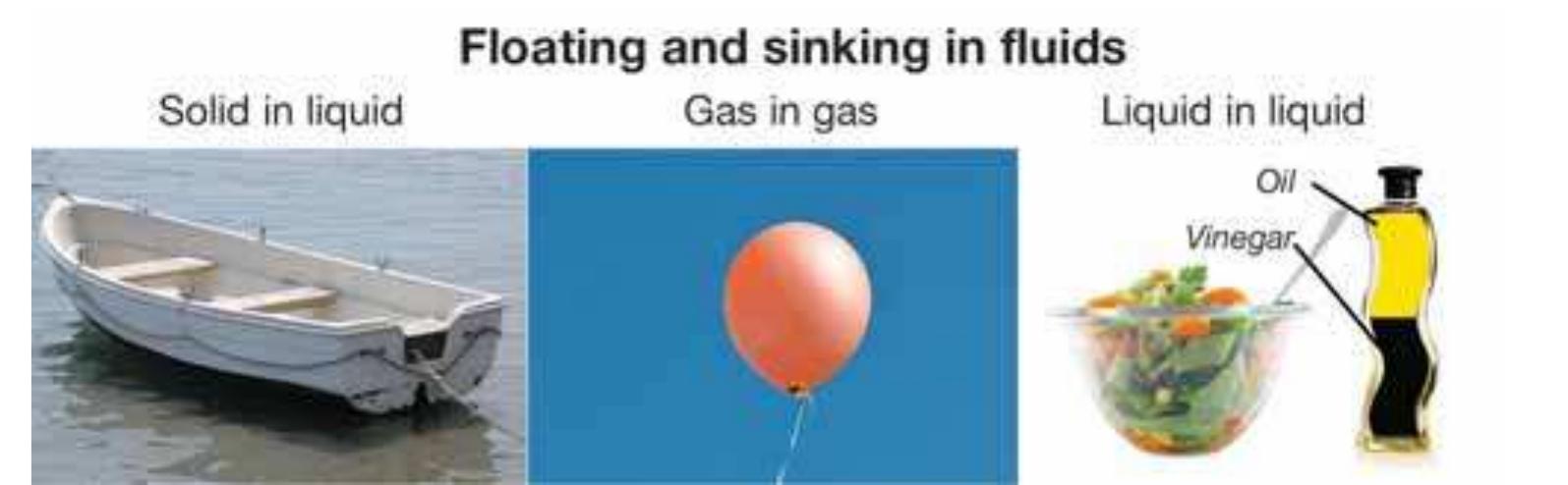(PDF) Density and Buoyancy