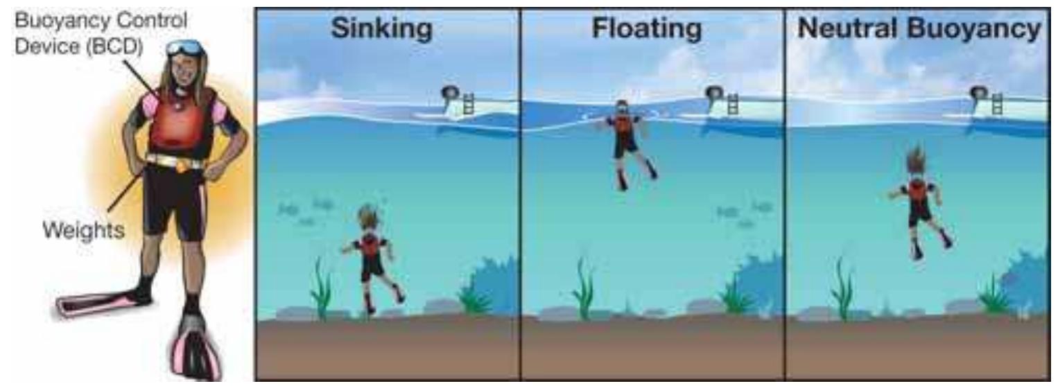 (PDF) Density and Buoyancy
