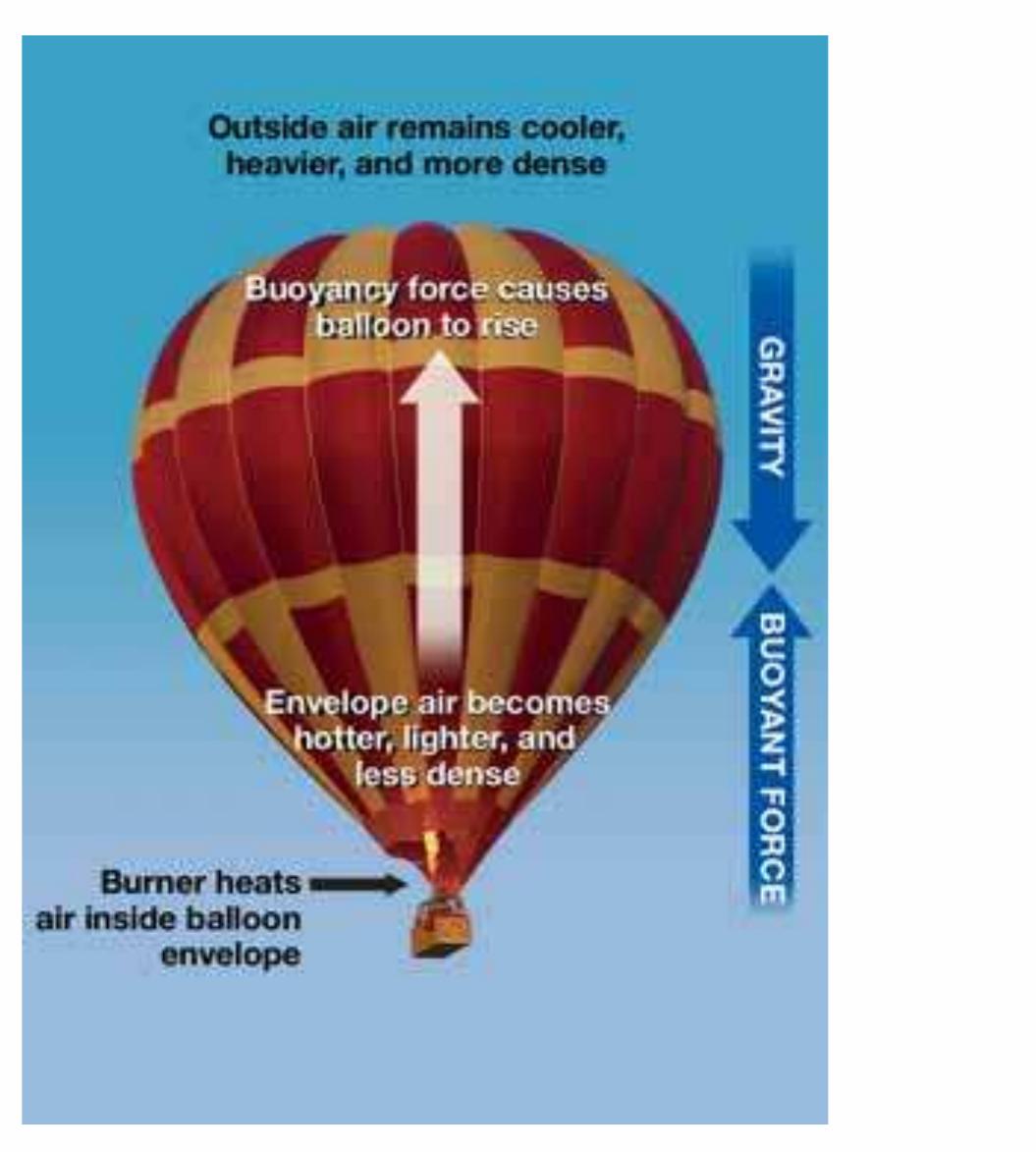 (PDF) Density and Buoyancy