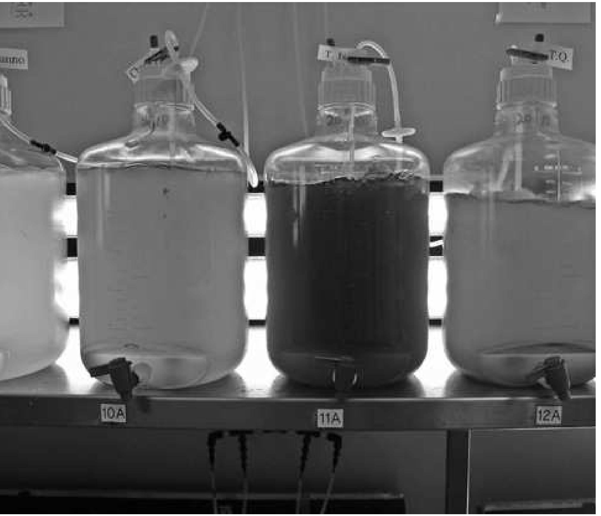 Carboys (20 l).