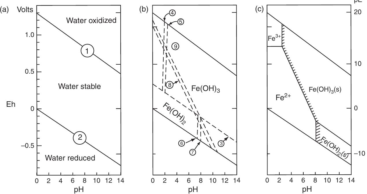 E-2 eh—ph diagram for 25°c and 1 bar. (a) stability field