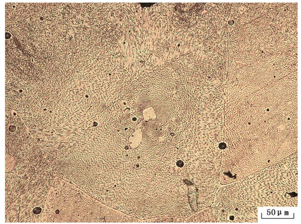 Cu+cuz0 eutectic microstructure of the sickle-shaped object