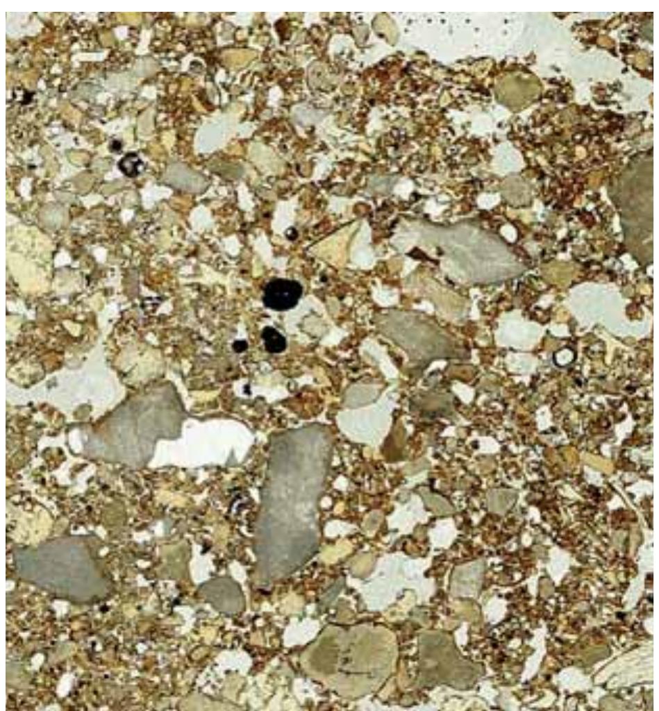 Levels viii and ix, macrophoto (detail) of sp5b sho- wing