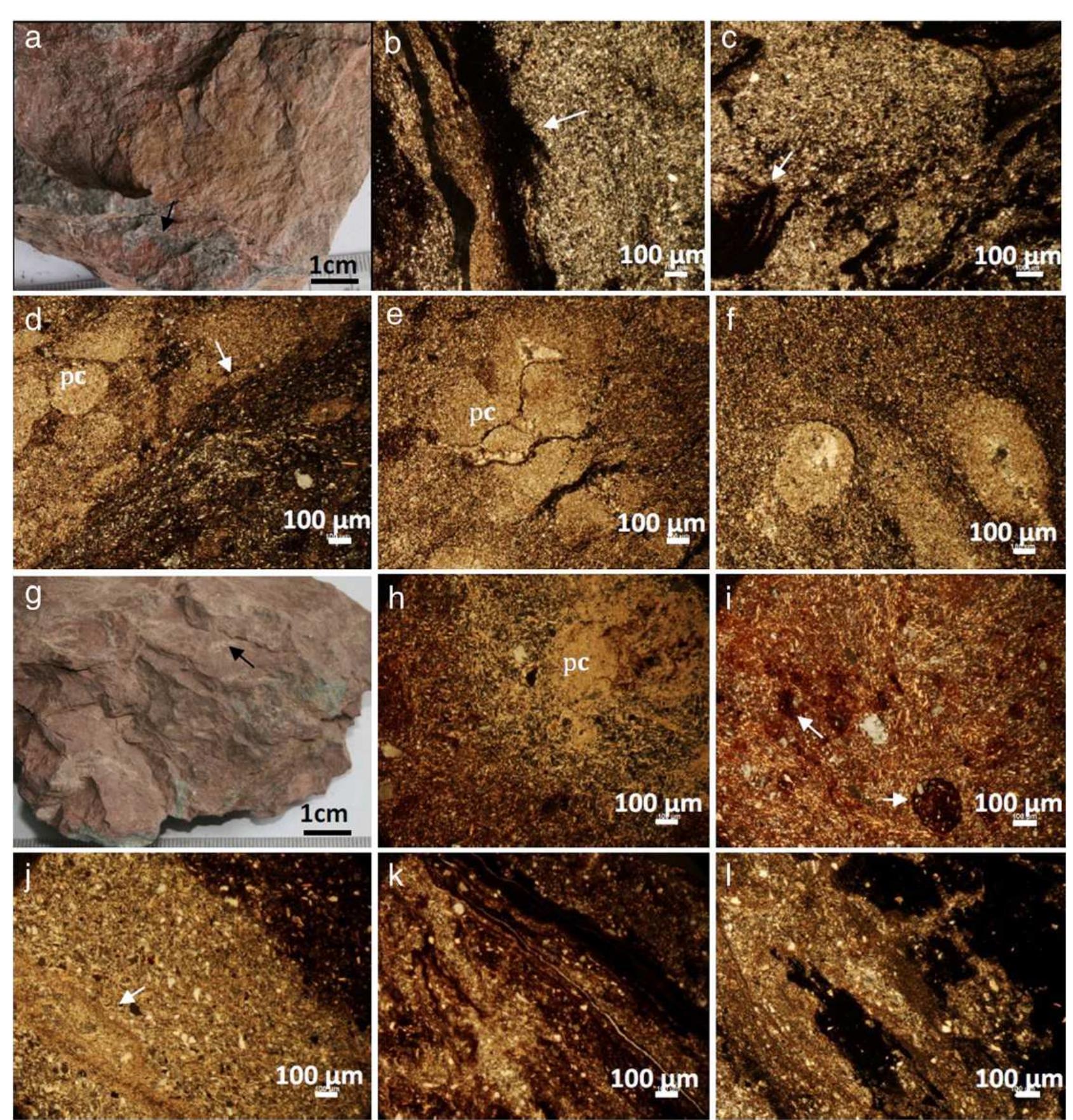 Macro- and micromorphological features of well-developed