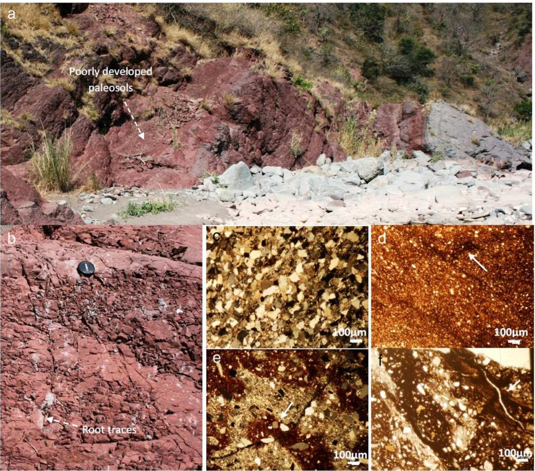 Macro- and micromorphic details of pedofacies-d (d16, d17