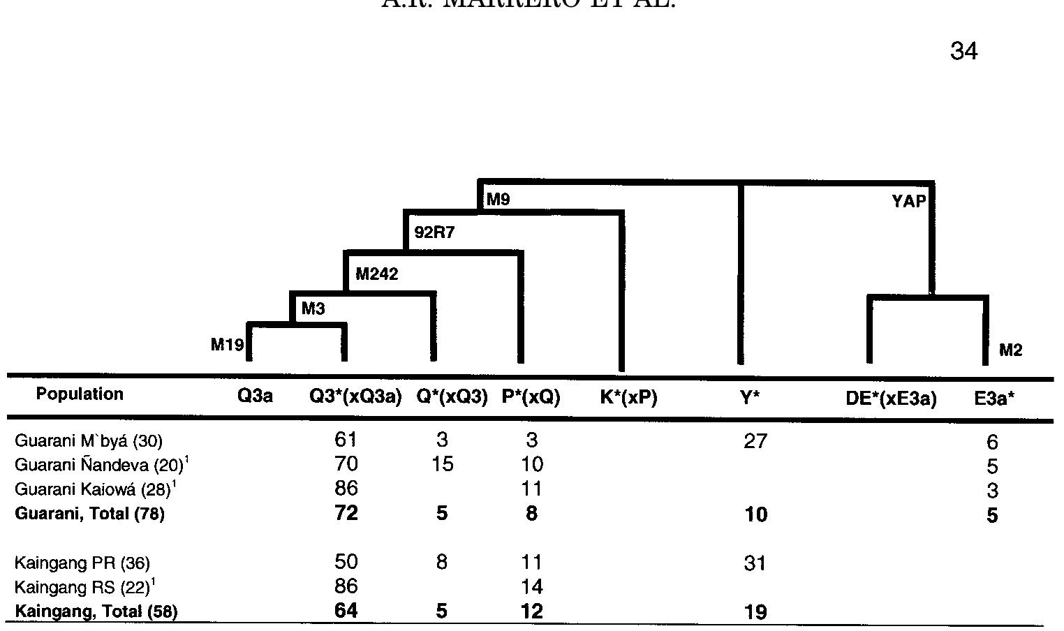 Phylogenetic tree of the y-chromosome haplogroups and their