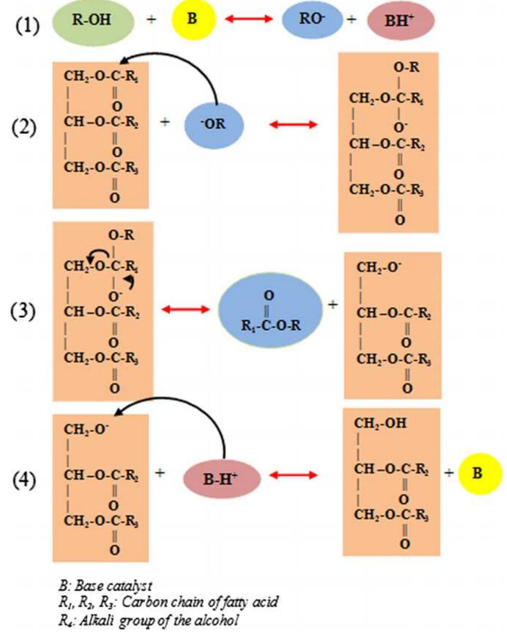 Reaction mechanism of homogeneous base catalyzed